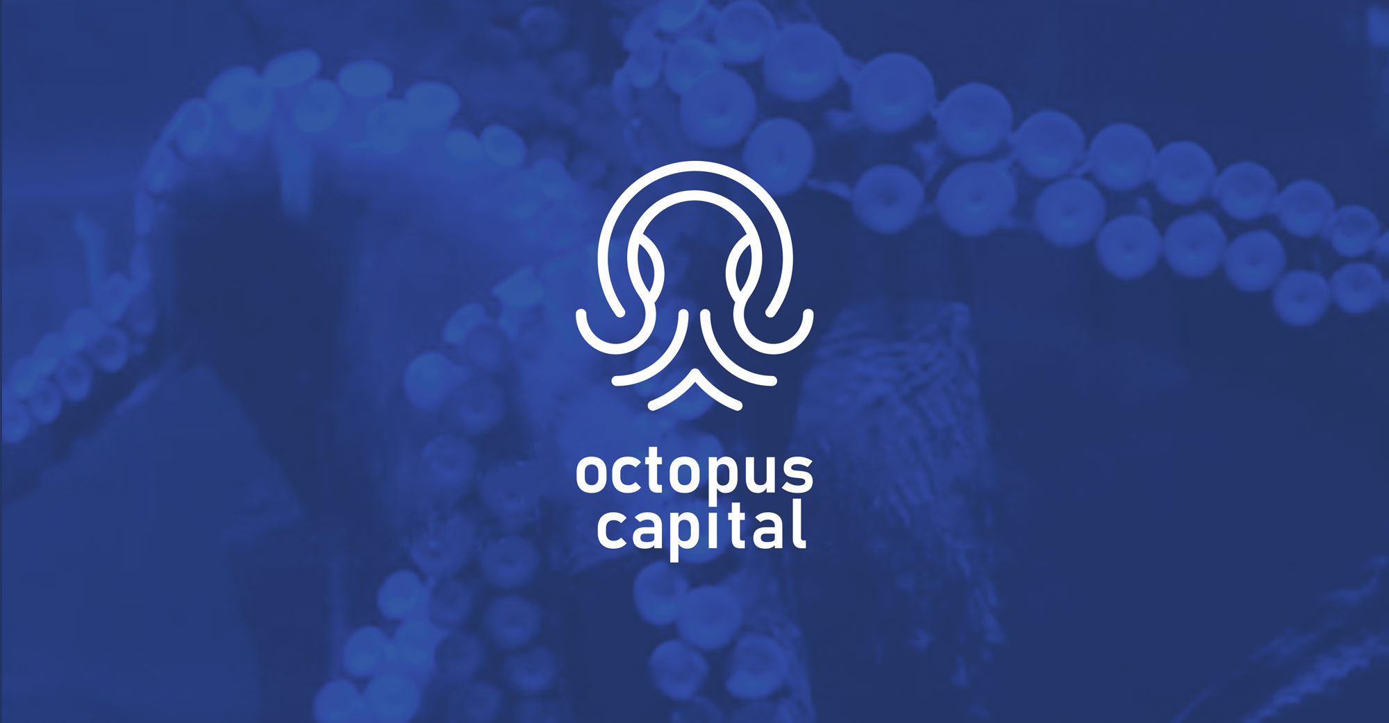 Nieuwe Brand Identity Voor Octopus Capital - Artikel - Octopus Capital